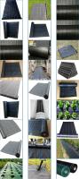 China greenhouse shade cloth,sun shade,uv treatment green sun shade mesh,knited safety net,woven weedmat,hdpe anti-shade rate for sale