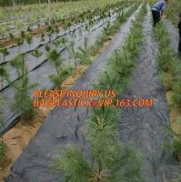 China environmental biodegradable pp woven weed control mat, heavy dury pe tarpaulin,Woven Weed Barrier/Weed Control Fabric for sale
