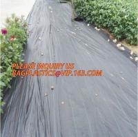 China environmental biodegradable pp woven weed control mat, heavy dury pe tarpaulin,Woven Weed Barrier/Weed Control Fabric for sale