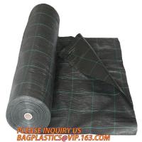 China 100% pp non woven perforated fabric weed control mat weed barrier anti weed mat,100% pp cover fabric weed control mat we for sale