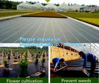 China prevent insects,tree planting,agriculture protection Plastic weed barrier,weed matt Bio-degradable Agricultural PP Weed for sale