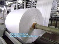 China China factory directly supply pp woven fabric roll / woven polypropylene fabric in roll,eco-friendly bag raw material wh for sale
