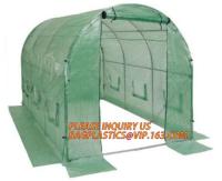 China Economic Small Windscreen Green Garden House,vegetable greenhouse hoop green house,small Garden Greenhouse for Indoor pl for sale