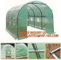China Economic Small Windscreen Green Garden House,vegetable greenhouse hoop green house,small Garden Greenhouse for Indoor pl for sale