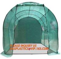 China Economic Small Windscreen Green Garden House,vegetable greenhouse hoop green house,small Garden Greenhouse for Indoor pl for sale