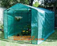 China polycarbonate plastic sheet agricultural mini garden green house,plastic walk in dome garden green house, SUPPLIES, PAC for sale