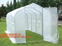 China Easy install greenhouse tomato single-span Plastic Film Green House,Low cost garden green houses for plating, PACKAGES for sale