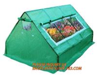 China Polycarbonate strong garden greenhouse double-door green house,NEW WALK IN GREENHOUSE GARDENING SEEDS PROPOGATING 143cm* for sale