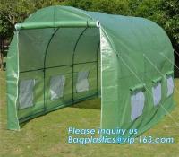 China Excellent Material Agriculture Greenhouse/Low Cost Green House,High quality outdoor garden mini portable green house for sale