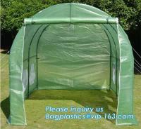 China Excellent Material Agriculture Greenhouse/Low Cost Green House,High quality outdoor garden mini portable green house for sale