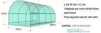 China Strawberry Planting Green House,200 micron UV plastic film for agriculture green house,High safety greenhouse for plants for sale