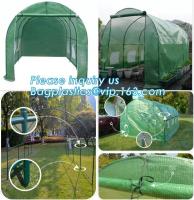 China Strawberry Planting Green House,200 micron UV plastic film for agriculture green house,High safety greenhouse for plants for sale