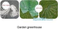 China Strawberry Planting Green House,200 micron UV plastic film for agriculture green house,High safety greenhouse for plants for sale