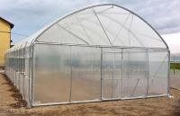 China Garden Walk In 4 Shelves& Reinforced PE Cover green houses,Agriculture Farm Commercial Plastic PE Film Multi Spans Green for sale