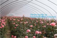 China Net Garden Tomato Planting Greenhouse Outdoor Balcony Green House,Horticultural 200 Micron 3 Layer Plastic Film Green Ho for sale