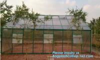 China Mini Walk In 3 tiers 6 Shelves Greenhouses Portable Plastic Outdoor Green House,Agricultural Green House or Chicken Farm for sale