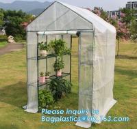 China hydroponics greenhouse for garden indoor plant growth green house grow tent,Garden greenhouse walk in greenhouse mini gr for sale