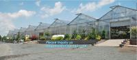 China high quality tunnel single span galvanized arch green houses,Plant Large Walk in Greenhouse with Clear Cover for garden for sale