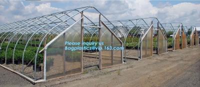 China PE protective film customized green house for agriculture anti frost,Venlo Glass Agricultural Green house, SUPPLIES, PAC for sale