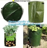 China garden plant/ patato/vegetable grow bags,2gallon hotsales fabric pots grow bags for plant flower grow bag plant potato o for sale