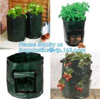 China Polyethylene Durable Jumbo Tree Planter Bags, Heavy Duty Growing Bags,Effective UV Stabilized Black White Plastic Growin for sale
