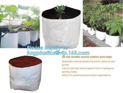 China Polyethylene Durable Jumbo Tree Planter Bags, Heavy Duty Growing Bags,Effective UV Stabilized Black White Plastic Growin for sale