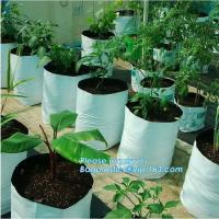 China 15 GALLON Hole Plastic LDPE Grow Bags For Nursery, Black & White PE Grow Bags for Hydroponic and Horticulture use, BAGEA for sale