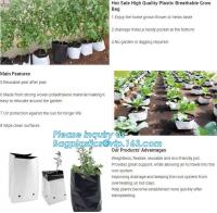 China 15 GALLON Hole Plastic LDPE Grow Bags For Nursery, Black & White PE Grow Bags for Hydroponic and Horticulture use, BAGEA for sale