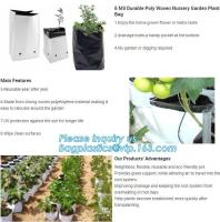 China Drain Growing Bags-White Color Grow Bags-100%Virgin Raw PE Planter Bags -25Gallon 150Microns Thickness Planting Bag, PAC for sale