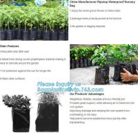 China Drain Growing Bags-White Color Grow Bags-100%Virgin Raw PE Planter Bags -25Gallon 150Microns Thickness Planting Bag, PAC for sale