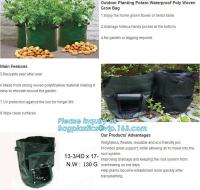 China Drain Growing Bags-White Color Grow Bags-100%Virgin Raw PE Planter Bags -25Gallon 150Microns Thickness Planting Bag, PAC for sale