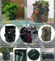 China Garden Potato Planter Growing Bags PE Fabric Eco-friendly 7Gallon 10Gallon,potato planter with 7/10 gallon potato plante for sale