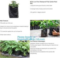 China Nine pockets cheap vegetable grow planter bag,china manufacture riptop waterproof nursery bag,planting potato grow bag for sale