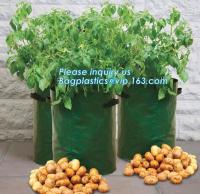 China Nine pockets cheap vegetable grow planter bag,china manufacture riptop waterproof nursery bag,planting potato grow bag for sale