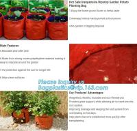 China 100 /200/300 gallon tan tree grow bag 100gallon grow bag for plant trees,vegetables grow bags planting bags growing bags for sale