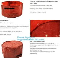 China 1 gal 2 gal 3gal 5gal 10gal black plastic grow planting greenhouse vegetable nursery bags,garden plant growing bag, bage for sale