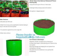 China 1 gal 2 gal 3gal 5gal 10gal black plastic grow planting greenhouse vegetable nursery bags,garden plant growing bag, bage for sale