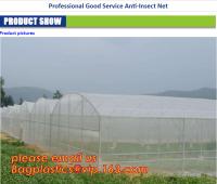 China Best-selling product agricultural product fruit fly nets /vegetables anti fly net /greenhouse anti insect net for agricu for sale