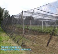 China Plastic Anti Bird/Hail/Insect Plants Protection Net for Agriculture,insect repellent net/20x10 Anti Aphid Net/Greenhouse for sale