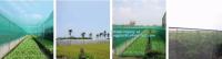 China Plastic Anti Bird/Hail/Insect Plants Protection Net for Agriculture,insect repellent net/20x10 Anti Aphid Net/Greenhouse for sale