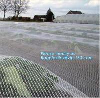 China Plastic Anti Bird/Hail/Insect Plants Protection Net for Agriculture,insect repellent net/20x10 Anti Aphid Net/Greenhouse for sale