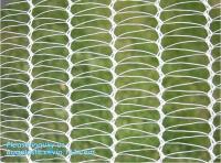China Plastic Anti Bird/Hail/Insect Plants Protection Net for Agriculture,insect repellent net/20x10 Anti Aphid Net/Greenhouse for sale