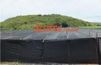China insect repellent net/20x10 Anti Aphid Net/Greenhouse/Agriculture insect proof net,Agricultural Insect Proof Net/Anti Ins for sale