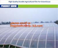 China GARDEN GREENHOUSE AGRICULTURAL PLASTIC MULCH FILM, 100% PP/PE Woven Agriculture Ground Cover/Mulch Film/Weed Mat, FILM for sale