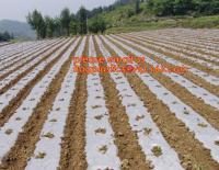 China GARDEN GREENHOUSE AGRICULTURAL PLASTIC MULCH FILM, 100% PP/PE Woven Agriculture Ground Cover/Mulch Film/Weed Mat, FILM for sale