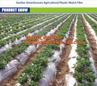 China GARDEN GREENHOUSE AGRICULTURAL PLASTIC MULCH FILM, 100% PP/PE Woven Agriculture Ground Cover/Mulch Film/Weed Mat, FILM for sale