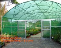 China cheap and durable plastic colored anti mosquito netting/window insect screen,Industrial Agricultural Greenhouses use 2m for sale