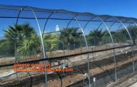 China cheap and durable plastic colored anti mosquito netting/window insect screen,Industrial Agricultural Greenhouses use 2m for sale