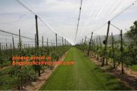 China 30 mesh anti insect farm nets for greenhouse,100% pe transparent color greenhouse anti insect net for plant, agriculture for sale