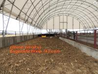 China agriculture anti insect net on roll insect proof mesh for greenhouse,Greenhouse Anti Insect Netting /Agriculture Netting for sale